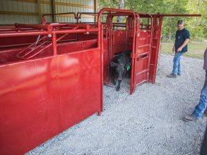 Tarter Sheeted Alley Panel with Cut Gate - Te Slaa Manufacturing